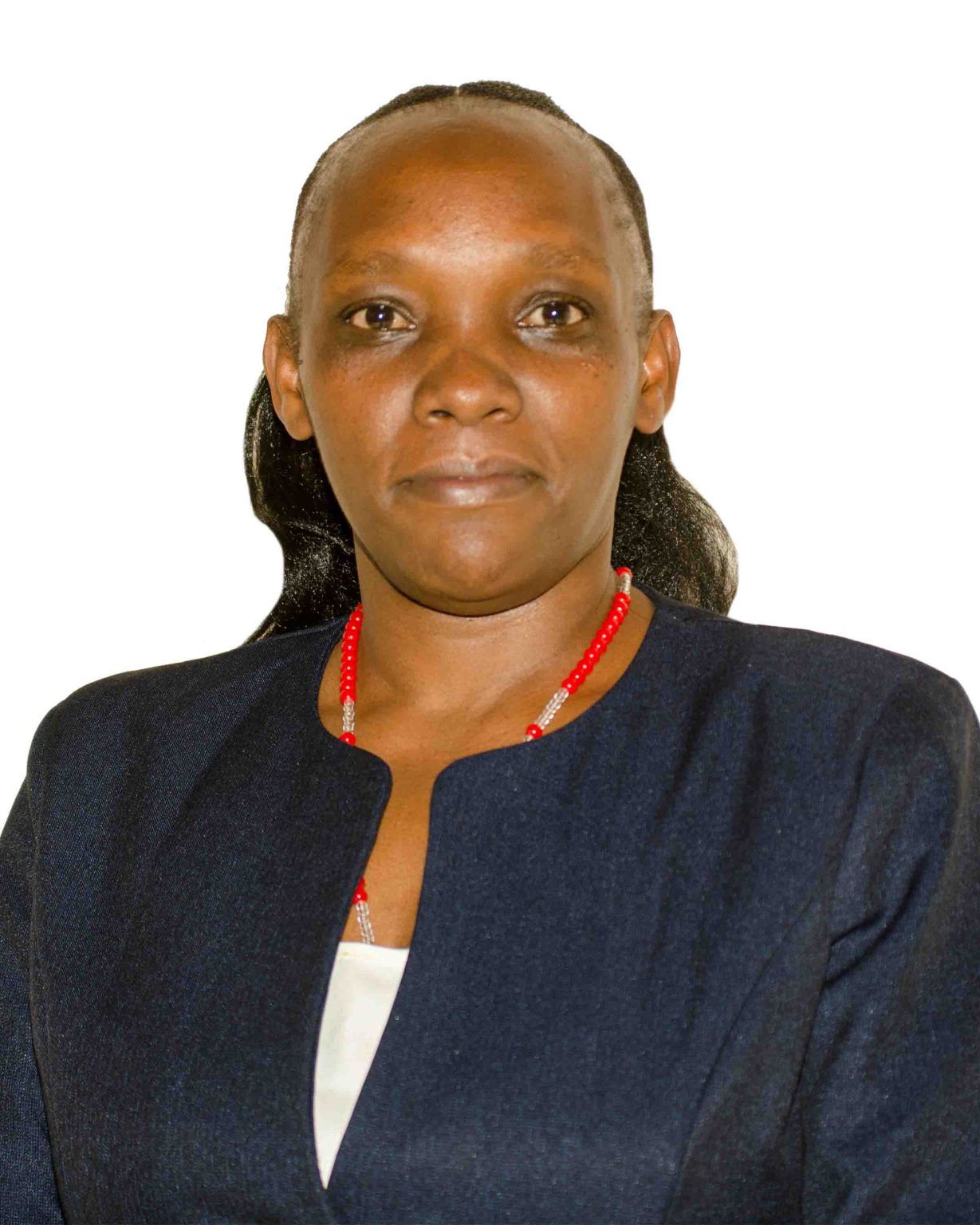 The University Council – Kibabii University