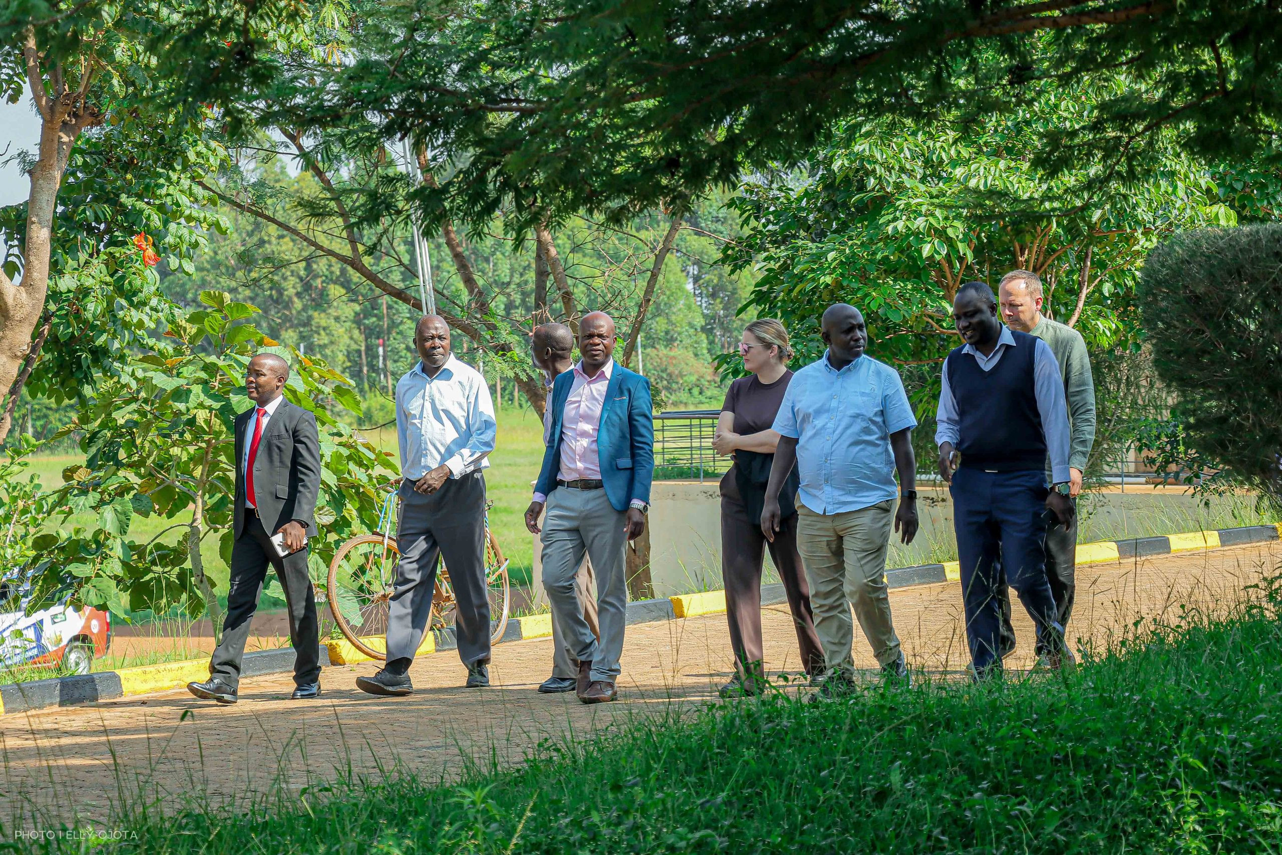 UK–East Africa Research Management Capacity Strengthening Project Team ...